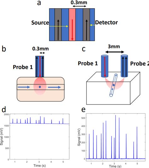Diffuse In Vivo Flow Cytometer Difc A Diagram Of Difc Fiber Probe Download Scientific