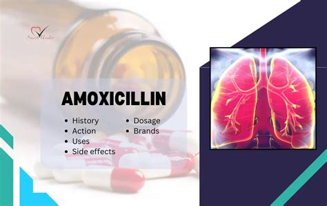 Amoxicillin History Action Uses Side Effects Dosage And Popular Brands Smarthealer Pk