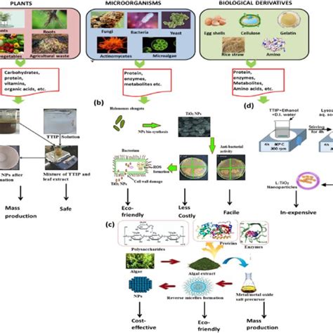 Pdf Synthesis Characterization And Advanced Sustainable Applications