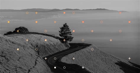 Carbon Offset Programs Guide And Examples For 2025 Persefoni