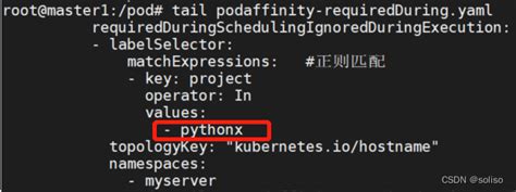 K8s Pod 亲和与反亲和 （podaffinity与podantiaffinity）反亲和目的 Csdn博客