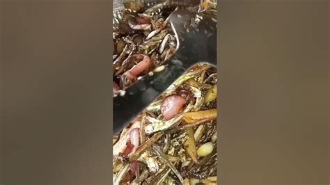 Cooking Bulinaw Pilipino Style Youtube