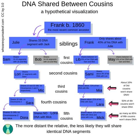 DNA Match But No Shared Matches Who Are You Made Of
