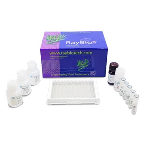 Lysozyme Enzyme Powder Application Food Preservative At 1200000 Inr
