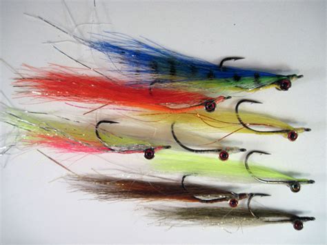 Flycatcher Flies Fly Gallery