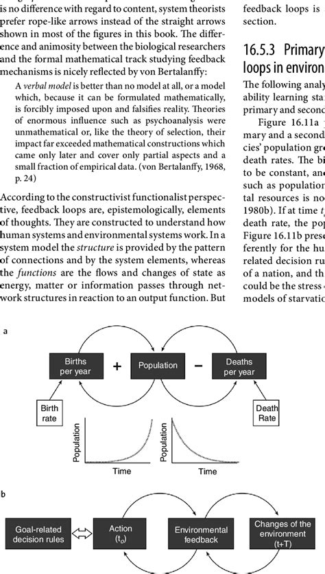 11 A Primary And Secondary Feedback Loops In One Species Population