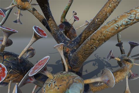 Alien Flora 38 3d Trees Unity Asset Store