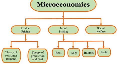Microeconomics In Simple Terms Basic Explanation JoyAnswer Org