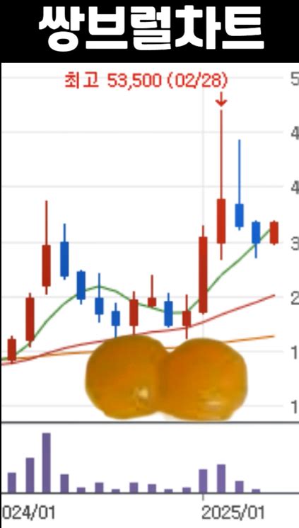 필옵틱스 주가 전망 Ai 반도체 유리기판 2차전지 배당 재무 경쟁사 분석