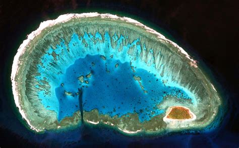 Isla Lady Musgrave Hiding At Lady Musgrave Sv Anui