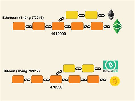 Hard Fork Và Soft Fork Trong Blockchain Những điều Bạn Cần Biết Fiahub