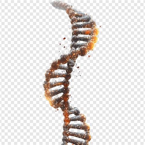 free psd disintegrating dna helix a 3d render of genetic code