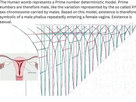 The Five Principles Of Organized Complexity Where Does The Organized Complexity Of The