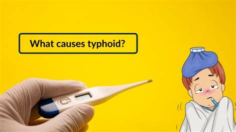 What Causes Typhoid Enteric Fever Symptoms Treatment And Food Habits