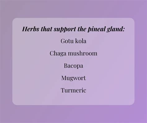 The Pineal Gland What It Is How It Functions And Herbs That Support It