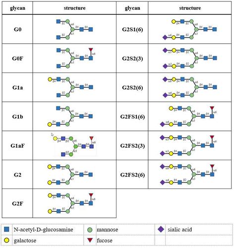 Thirteen N Linked Glycans Included In Srm 3655