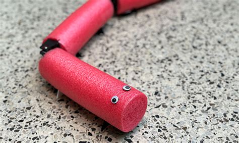 Random Robots Are More Reliable News Northwestern Engineering