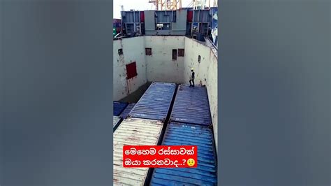 සල්ලි හොයන්න කොල්ලෝ කන කට්ටක්😯😯😯 Youtube
