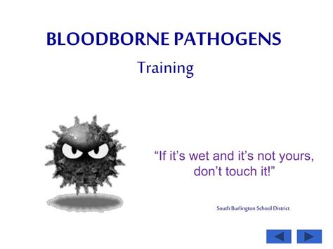 Ppt Bloodborne Pathogens Training Powerpoint Presentation Free Download Id