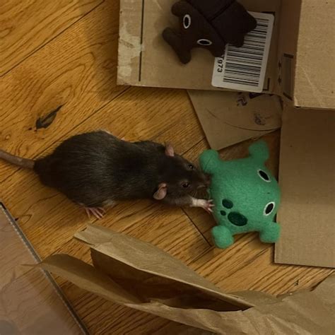 Garden Friends Stag Beetle Scarab Bug Froggy Kawaii Chibi Fleece Mint