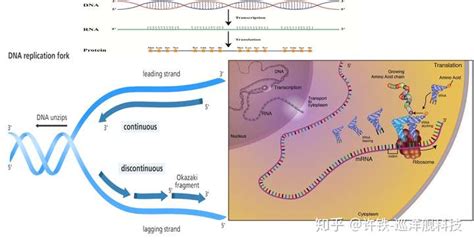 进化算法的应用 进化算法应用 csdn博客