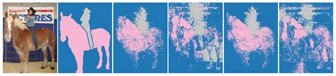 Visual Comparison Between Random Cropping Random Patching
