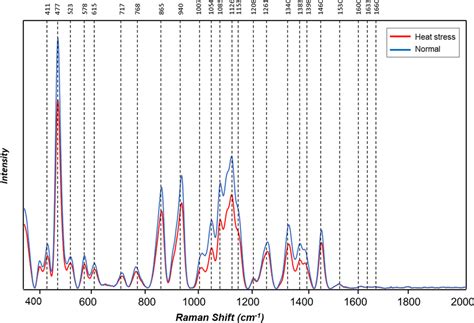 Averaged Raman Spectra Of Tubers Of Ten Potato Cultivars Grown Under