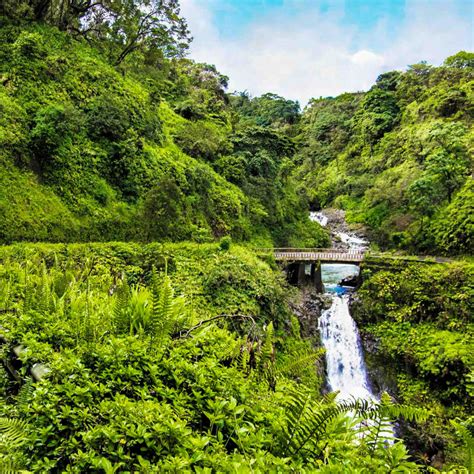 Road To Hana Air And Sightseeing Tour Mauis Scenic Adventure