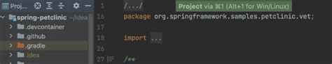 Presenting With Intellij Idea Foojay Io Today