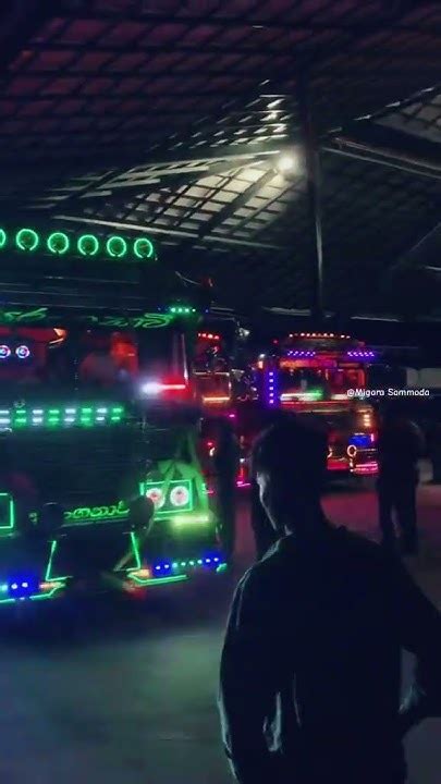 දම් රැජින Vs කූඹියෝ Vs සුරංගනාවි Viral Bus Shortsfeed Shorts Youtube