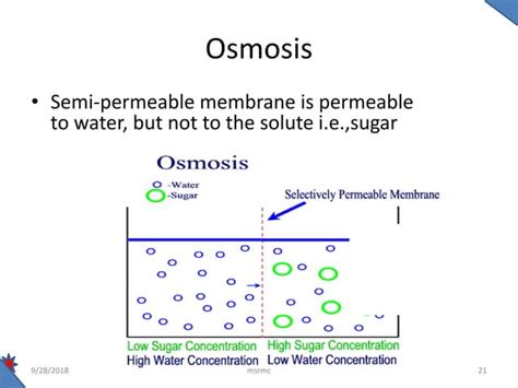 Transport Across Cell Membrane Ppt