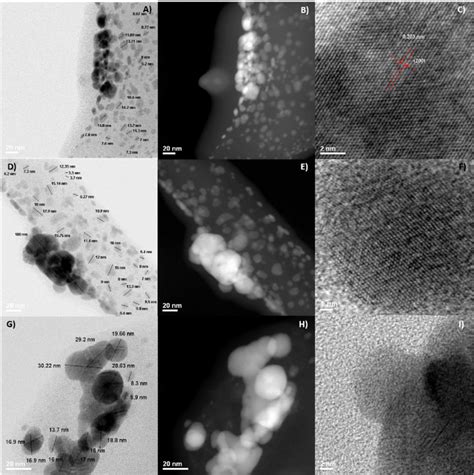 Stem Micrographs Of Silver Nanoparticles Concentration 001 M 15 Min