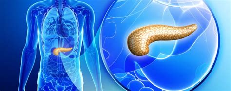 5 Different Types Of Pancreatectomy Operations Mn General Surgeon