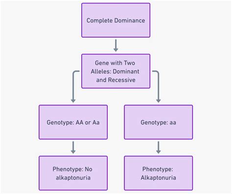 Gene Interaction Definition Types Examples Importance Biology Notes Online