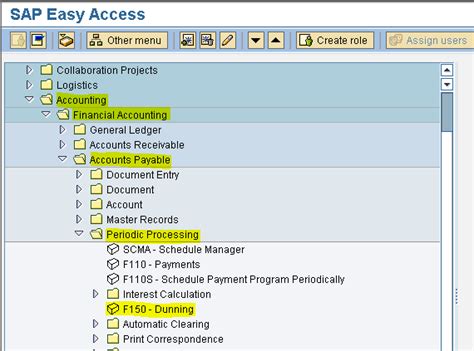 Sap Fico Module Learning Dunning Run In Sap
