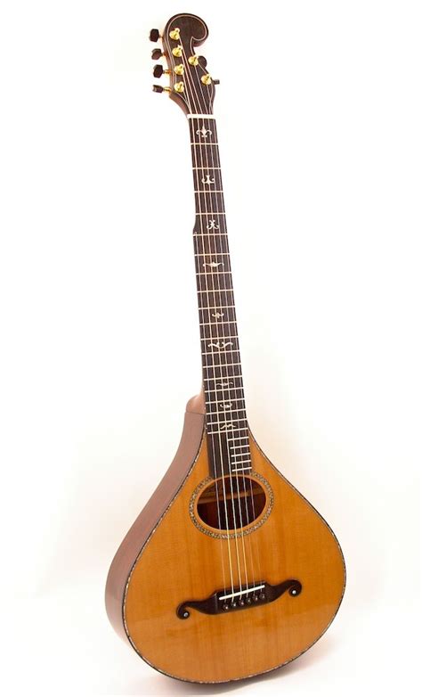 386 049 6 String Victor Banjolas
