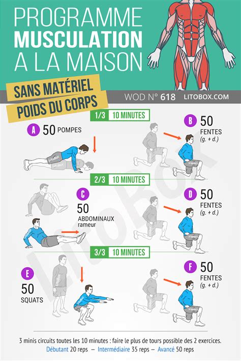 Exercices De Musculation Pour Hommes Artofit