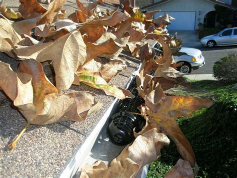 Gutter Cups Are The Best Gutter Screens Easy DIY Gutter Guard Installation No Tools Required