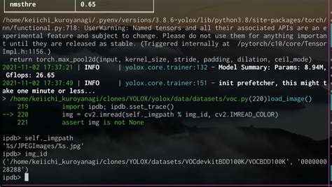 How Do I Set The Dataloader Parallel To For Debugging Issue