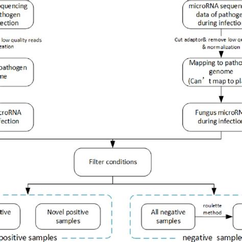 Pathogen Microrna Extraction Protocol Download Scientific Diagram
