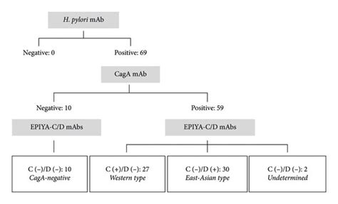 Algorithm For H Pylori Caga Typing By Ihc Using Gastric Biopsy