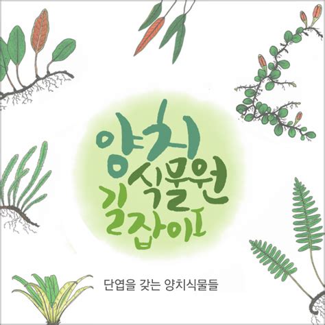 대한민국 산림청 실내외 정원 소재로 관심이 높은