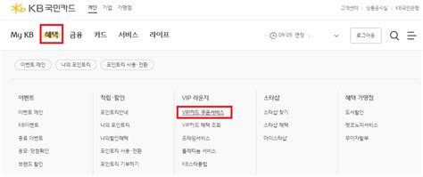 국민카드 헤리티지 쿠폰 적용하는 방법 캐션플러스