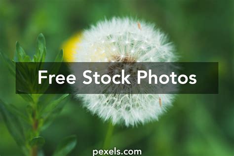 Weed Pc Wallpaper 4k Photos Download The Best Free Weed Pc Wallpaper