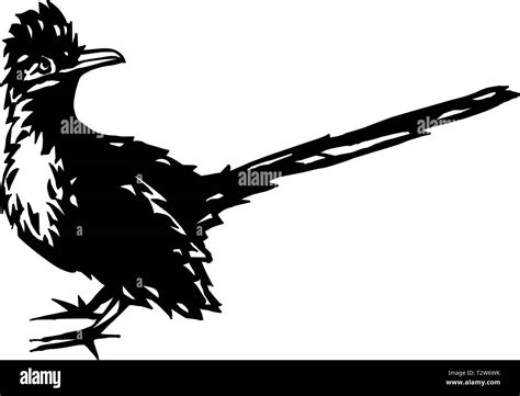 Road Runner Illustration Stock Vector Image And Art Alamy