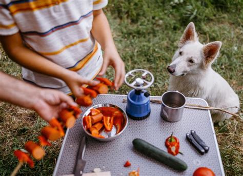 Can Dogs Eat Bell Peppers Petmd