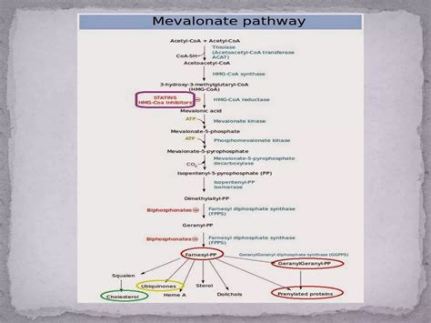 Biosynthesis Of Terpenes Pptx