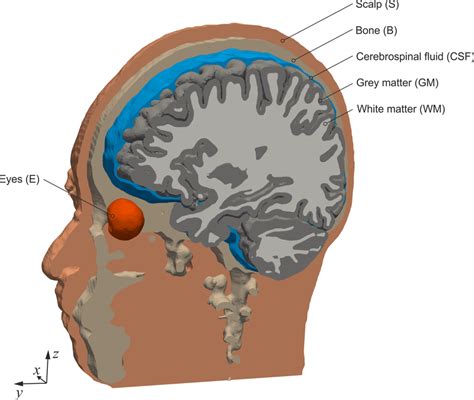 head model from the example data set subject 0 constructed with the