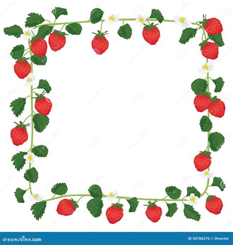 Strawberry Border