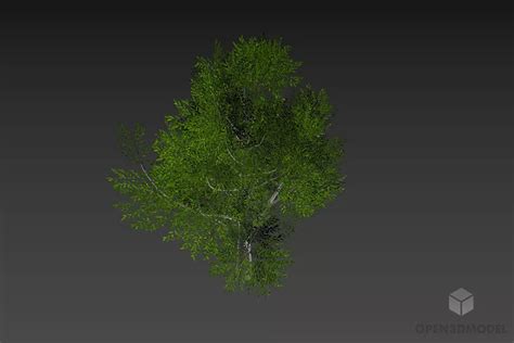 Leaf Tree With Big Branches Free 3d Model 3ds Gsm Max Open3dmodel